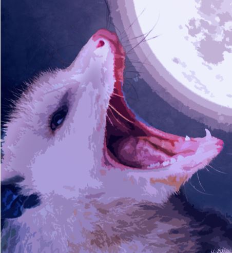 Possum Panic: A Very Super Serious One-Shot - RPG Club